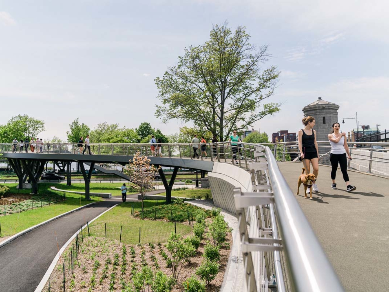 Frances Appleton Bridge | Solomon Foundation