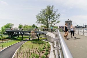 Frances Appleton Bridge | Solomon Foundation