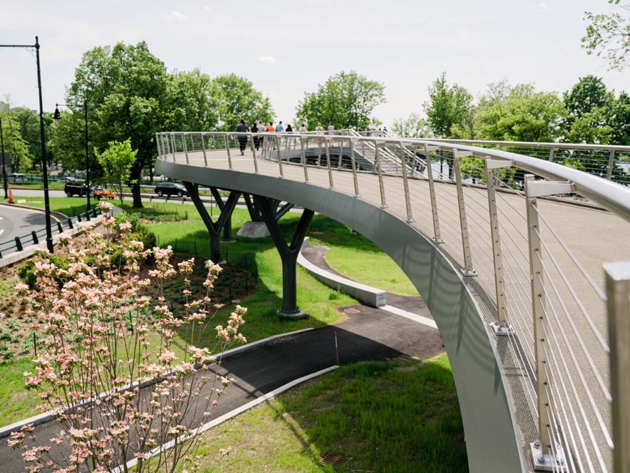 Frances Appleton Bridge | Solomon Foundation
